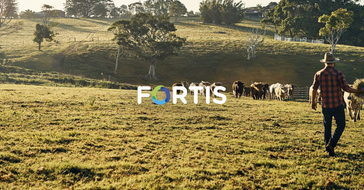 Fortis - Our Work | Nero Motion