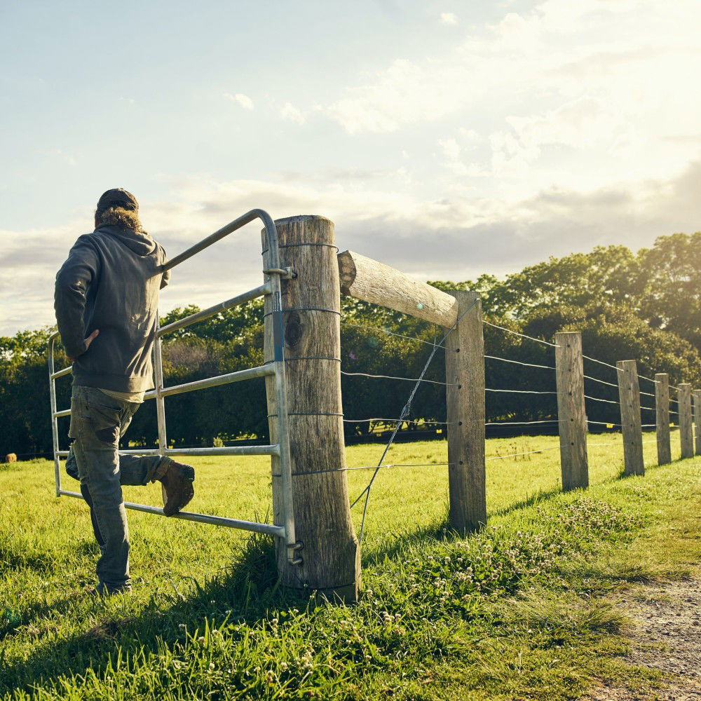 Nero Motion - We design and build beautiful digital platforms and experiences | Nero Motion